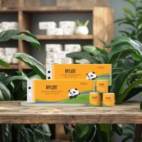 China Customized Pack of 12 Rolls Premium Quality Eco-Friendly Bamboo Pulp Toilet Paper with Plastic Packaging for sale