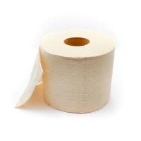 China Luxury Strong pure bamboo pulp cream beige plastic bag wrap quilted toilet paper for sale