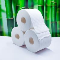 China Customized Virgin Bamboo Pulp Plastic Wrapped White Color Soft Toilet Paper 2 Ply for sale