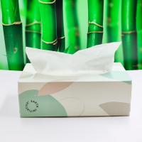 China Wholesale Practical Biodegradable Ultra Soft 2/3/4 Ply 100% Virgin Bamboo Pulp ISO14001 Certified Box Tissue Facial Tissue for sale