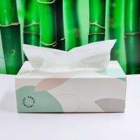 China Wholesale Practical Biodegradable Ultra Soft 2/3/4 Ply 100% Virgin Bamboo Pulp ISO14001 Certified Box Tissue Facial Tissue for sale