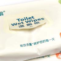 China Private Label Flushable Toilet Wipes Butt Cleaning Wipes Sanitary Wet Toilet Paper for sale
