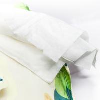 China Private Label Flushable Toilet Wipes Butt Cleaning Wipes Sanitary Wet Toilet Paper for sale