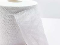 China Excellent quality manufacturer direct supply quilted northern ultra soft strong toilet paper for sale