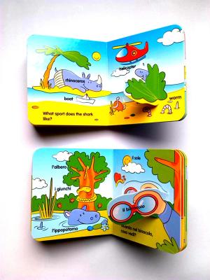 China Book with flap for sale