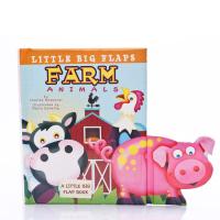 China Board Book with Flaps,pop up flaps, lift up flap books,hardcover board book,kids artwork,push and pull book for sale