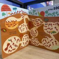 China Board book,kids book,children book,children learning book for sale