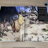 China Hardcover book, hard cover, hard back, hard bound, case bound for sale