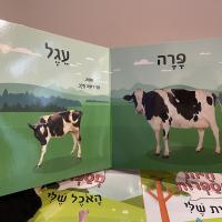 China Board book,kids book,children book,children learning book for sale