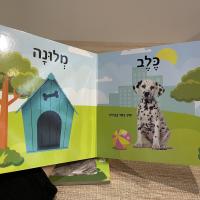China Board book,kids book,children book,children learning book for sale