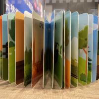 China Board book,kids book,children book,children learning book for sale