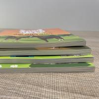 China Board book,kids book,children book,children learning book for sale