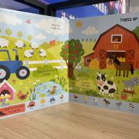 China Board book,kids book,children book,children learning book for sale