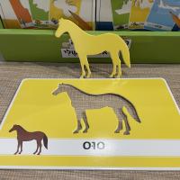 China Paper box with cards,toy cards,early learning cards,puzzle cards for sale