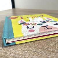 China Touch and feel book,Board book with glitter and flap,Lift Flap Books,Cards Flip Flap Book For Kids for sale