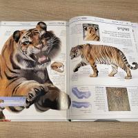 China Hardcover book, hard cover, hard back, hard bound, case bound for sale