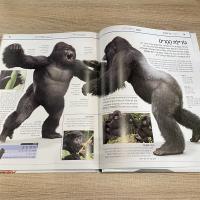 China Hardcover book, hard cover, hard back, hard bound, case bound for sale