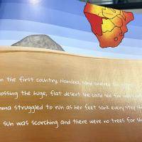 China Softcover book,perfect book,kids book,printing book for sale