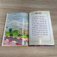 China Hardcover book,hard cover,hard back,hard bound,case bound,kids book,storybook printing for sale