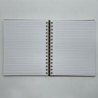 China 2024 High Quality Factory Cheap Custom Wire O Notebook Spiral Notebook Printing for sale