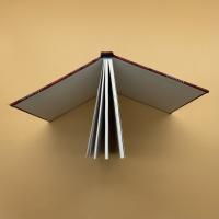 China Wholesale High-Quality Fashion Silk Cover Hardcover Book Notebook Printing Service for sale