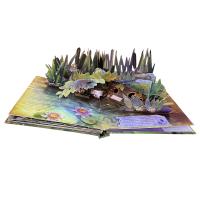 China High Quality Customized Hardcover Pop up Kids Books Printing Card Board Books Cartoon Children Book Printing Services for sale