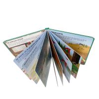 China Wholesale Custom Print Children Kids Baby Preschool Activity Dinosaur Learning Binder Busy Toy Board Book Printing Servi for sale