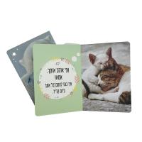 China Board book,kids book,children book,children learning book for sale