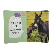 China Board book,kids book,children book,children learning book for sale