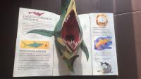 China pop up children book,3D book,Pop Up production,children book factory,customized pop up for sale