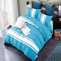 China 100% Cotton 4 Piece Comforter Bedding Set for Bedroom within Hotel Luxury All Size for sale