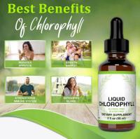 China Natural Mulberry Leaf Extract Chlorophyll Liquid Drops 59ml Concentrated Liquid For Internal Cleansing And Detox for sale