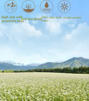 China Organic Sugar Balance Reducing Tartary Buckwheat Tea With Private Label OEM For Health Support for sale