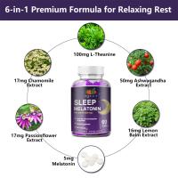 China Natural Sleep Support And Immune Booster Wellness Gummy With Fruit Flavor For Restful Nights for sale