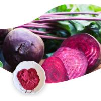 China Organic Vitamin Beet Powder 100% Natural Sugar Free Superfruit Powder For Blood Pressure Balance for sale