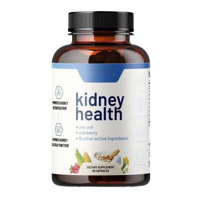 China Men'S Kidney Health Supplement Capsules With Vitamin B6 Magnesium Zinc For Urinary Wellness for sale