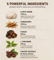 China High Potency Mushroom Coffee Blend Focus Products With 1000mg Lion'S Mane 100mg L-Theanine for sale