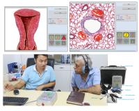 China 8D LRIS NLS Full Body Health Analyzer Health Scanner with CE Certificate for sale