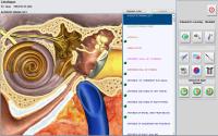 China 4025 Metatron NLS Machine Holistic Practitioners and Naturopathic Biofeedback Device for sale