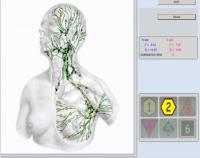 China 8D Lris NLS Stable and Faster Health Diagnosis Disease Detecting at Home Physiotherapy for sale