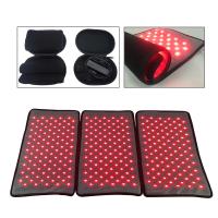 China 660nm 850nm Led Pdt Infrared Light Therapy Machine Full Body 1500w 1000w 300w for sale