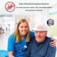 China PDT Photobiomodulation Brain Helmet 810nm Therapeutic Brain Equipment for sale