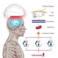 China Light Therapy Photobiomodulation Helmet For Traumatic Events for sale