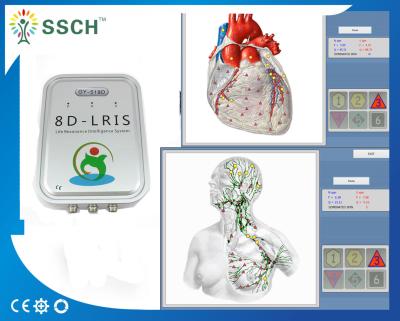 China 8D NLS Health Analyzer Machine For SPA Club Home Quantum Resonance Vector System for sale