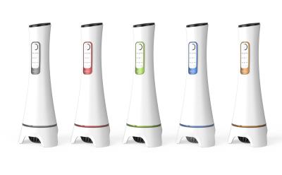 China Office home Ultrasonic fruit and vegetable washer ozone 10w Rated power for sale