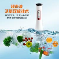 China Office home Ultrasonic fruit and vegetable washer ozone 10w Rated power for sale