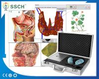 China Hunter 4025 NLS 8d lris nls bioresonance NLS for sale