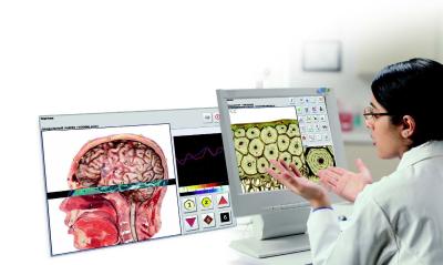 China Hunter metatron machine 4025 SSCH NLS Health Diagnostic Metapathia 18D NLS for sale