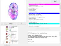 China 85% Accuracy 8D Nls Body Health Analyzer Advanced Quantum Magnetic Aura Chakra Machine for sale