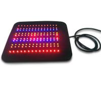 China 12V Light Therapy Machine Photodynamic Therapy Equipment Near Infrared NIR Flex Pain Relief System for sale
